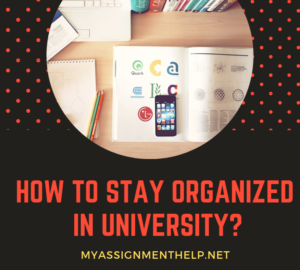 How to Stay Organized in University? | Assignment Help