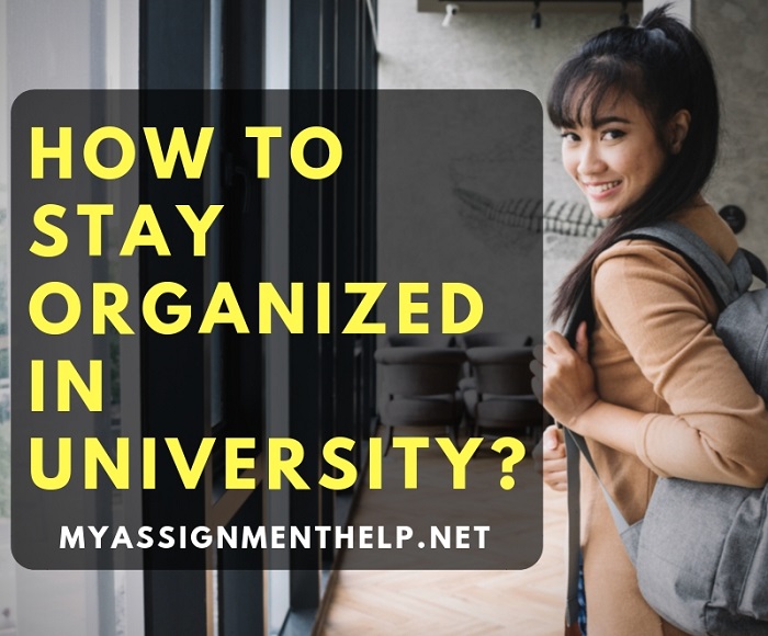 How to Stay Organized in University? | Assignment Help