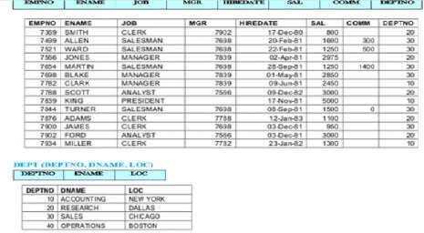 Employee Table | Accounting Assignment Question