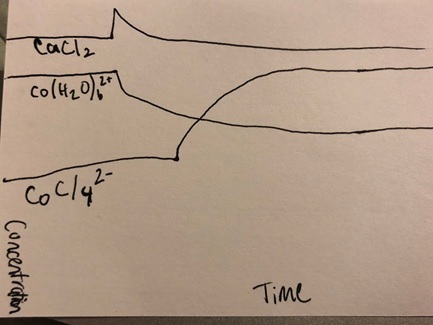 Equilibrium Lab Report Assessment Answers